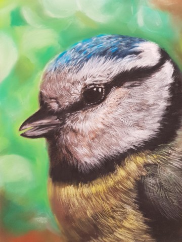 Купить картину Синица - Art Compass Club